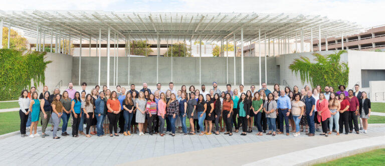 About - St David's Foundation