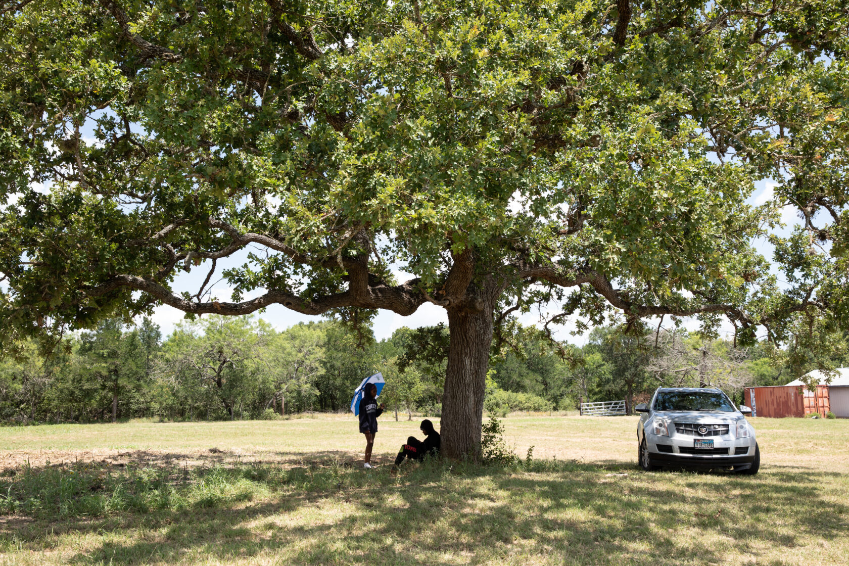 Thriving Rural Communities - St David's Foundation